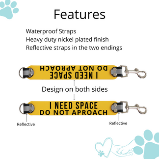 Custom Dog Leash Extender for Blind Dogs – AnitasStitches